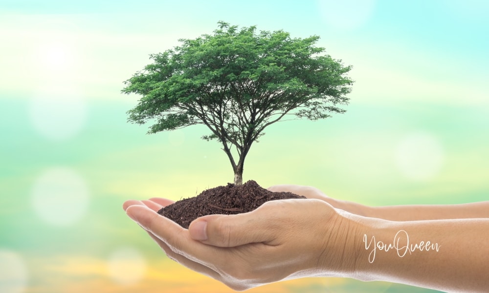 12 Personal Growth Quotes to Resolve Your Quarter Life Crisis